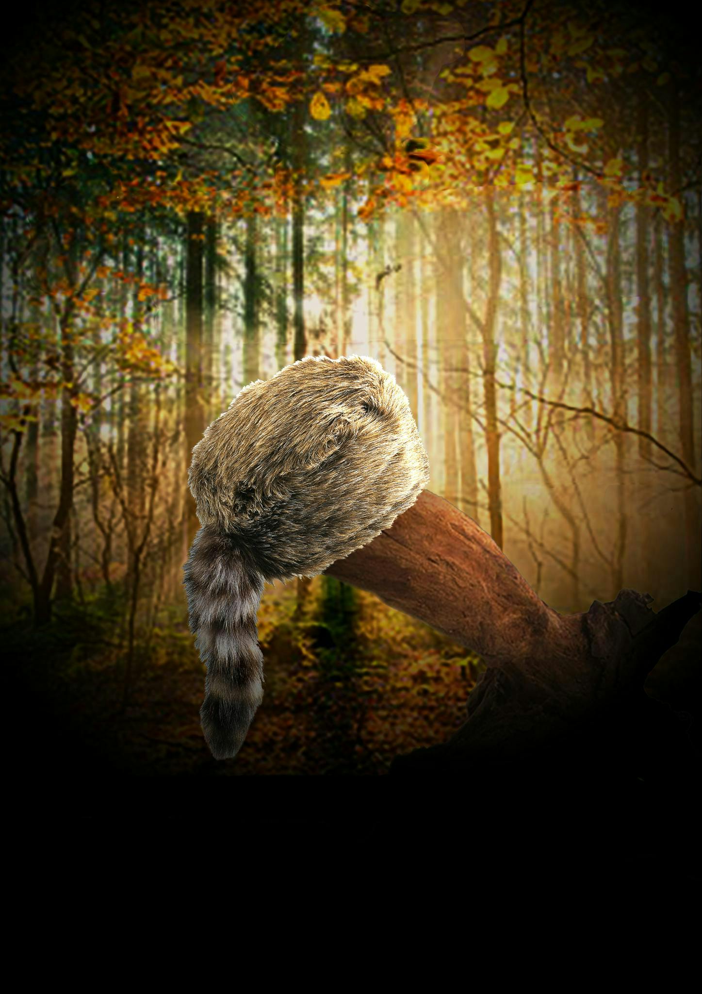 Escape Game Reims : Réservez la Meilleure salle - Tous les Avis